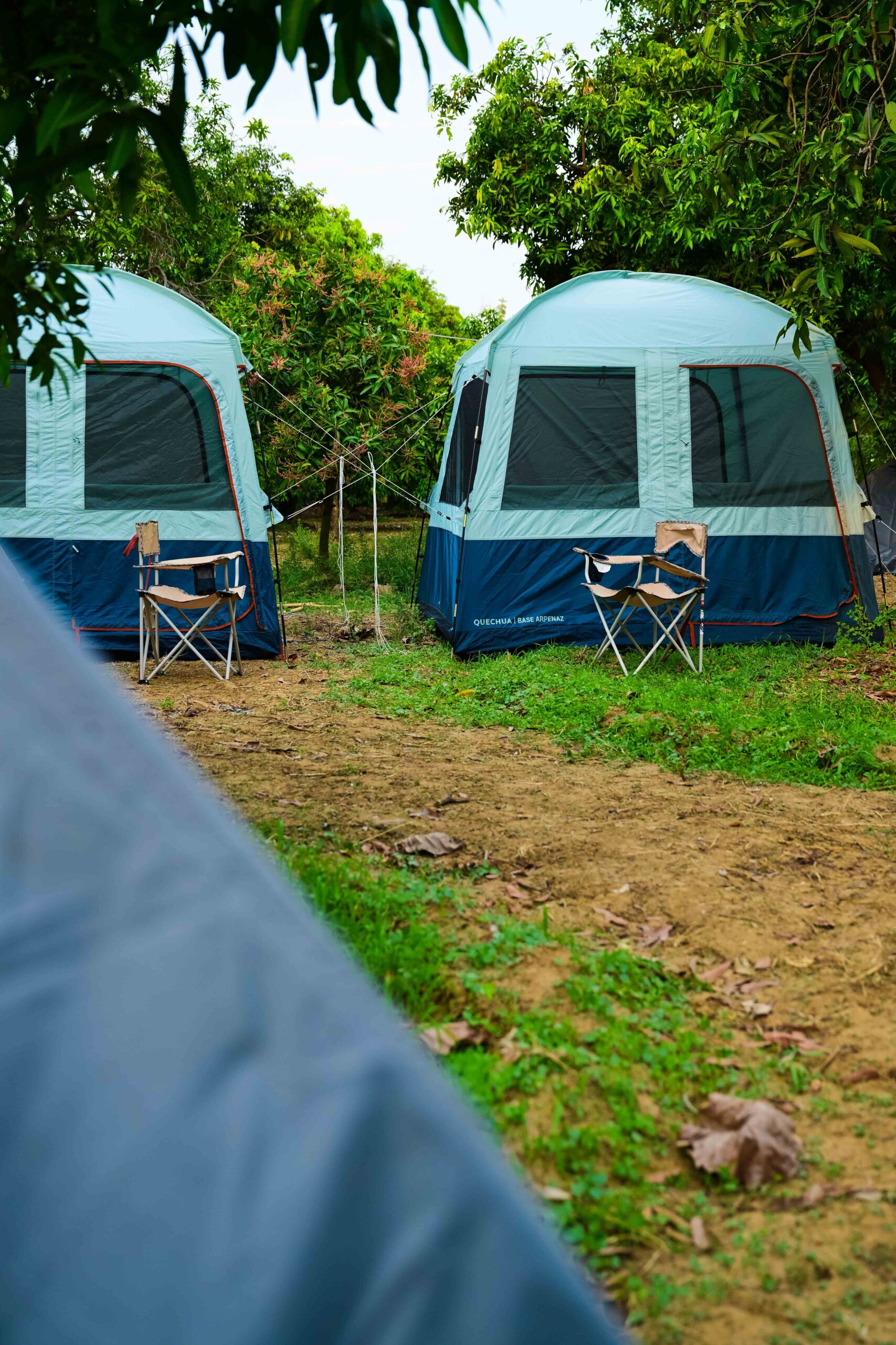 Wild Tent Adventure – Tada Falls Tent Camping Near Chennai